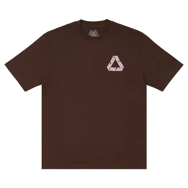 PALACE P-3 Outline T-shirt 'nice - Brown