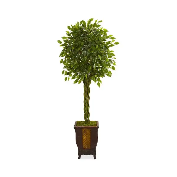 NEARLY NATURAL Artificial Braided Ficus Tree - Green