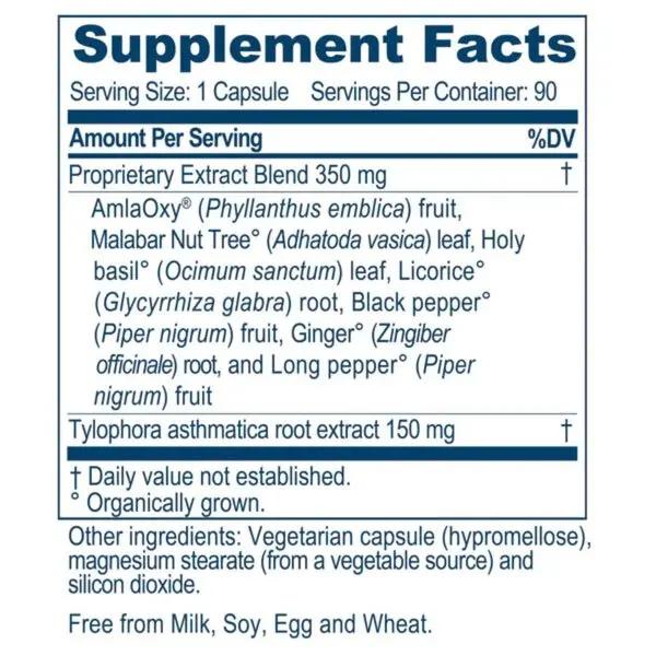 AYUSH HERBS Bronchotone 90 Capsules