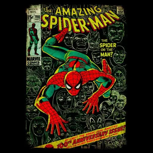 MARVEL: SPIDER-MAN Marvel Spider-man The Amazing Spider-man Classic Comic Book Cover Graphic T-shirt