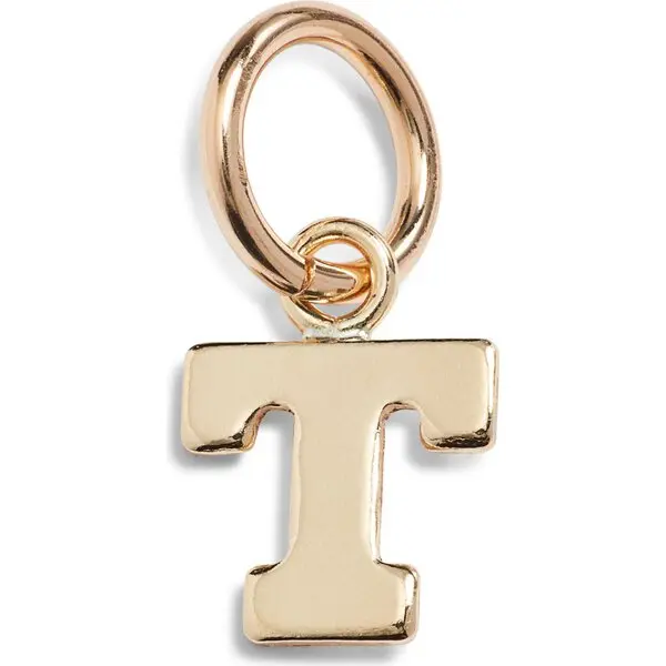NASHELLE Initial Charm - Gold Fill - T