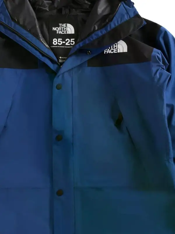 The North Face Mountain Jacket - Blue