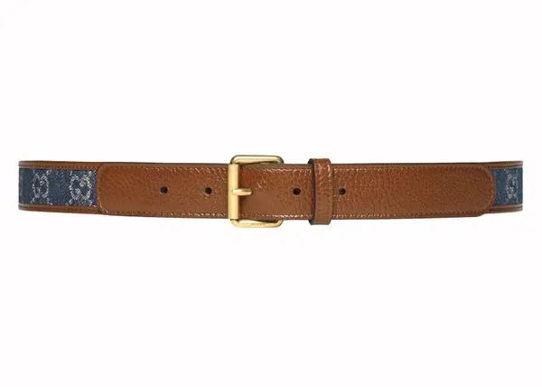 Gucci Interlocking G Belt Gg Supreme - Blue/brown