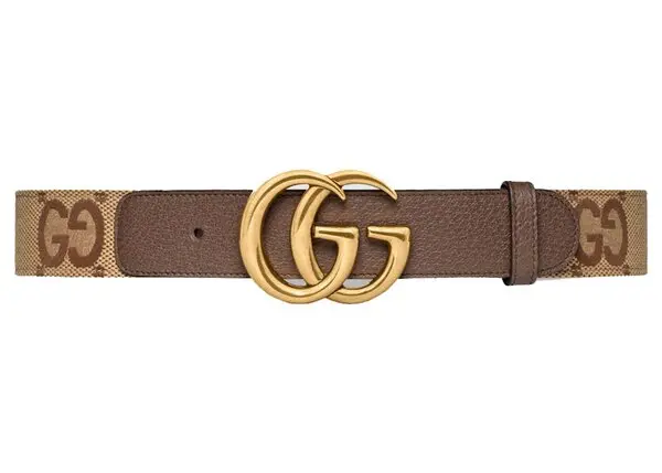 Gucci Double Belt With Chain - Camel/ebony