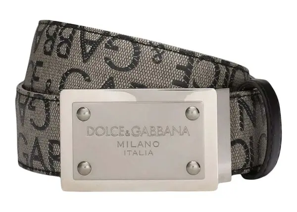 Dolce & Gabbana Reversible Logo Belt - Brown