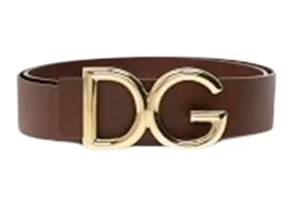 Dolce & Gabbana Belt With Logo Plaque Buckle - Brown/gold/tone