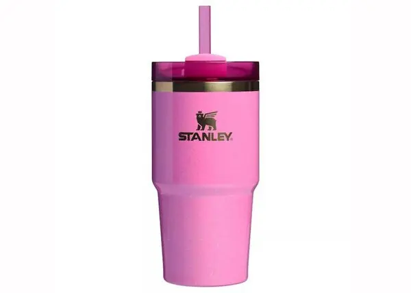 STANLEY X Target X Wicked Flowstate Quencher 20oz Tumbler - Glinda