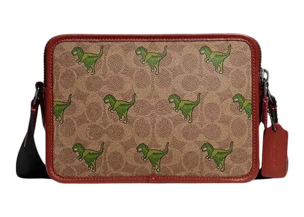 COACH Charter Crossbody 24 In Signature Canvas With Rexy Print