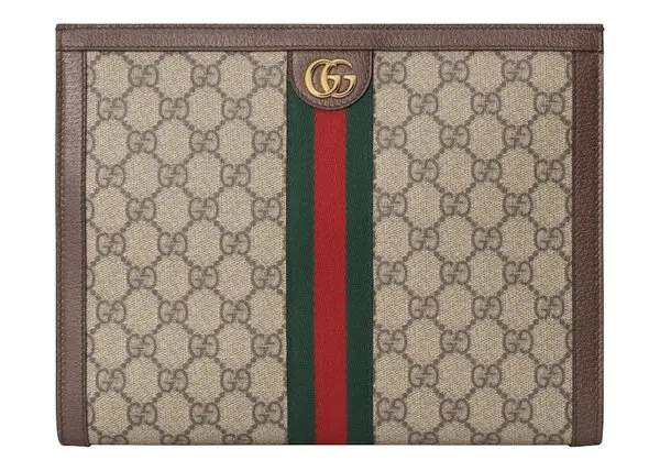 Gucci Ophidia Pouch