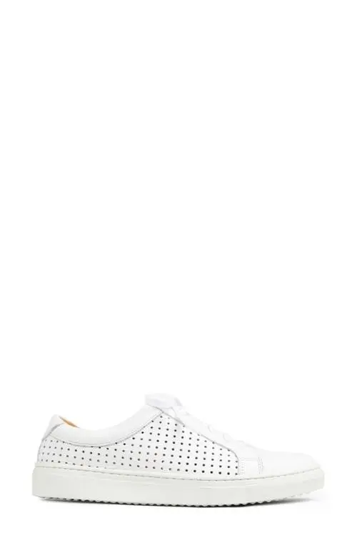 PATRICIA GREEN Ryan Perforated Leather Sneakers