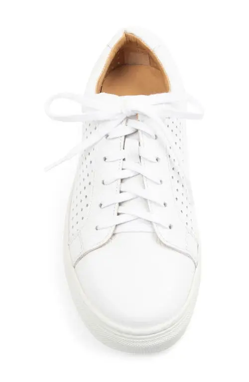 PATRICIA GREEN Ryan Perforated Leather Sneakers