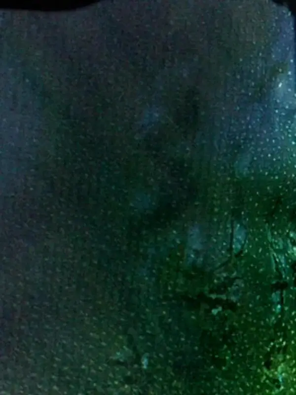 Y3 Adidas Aop Ripstop Jacket