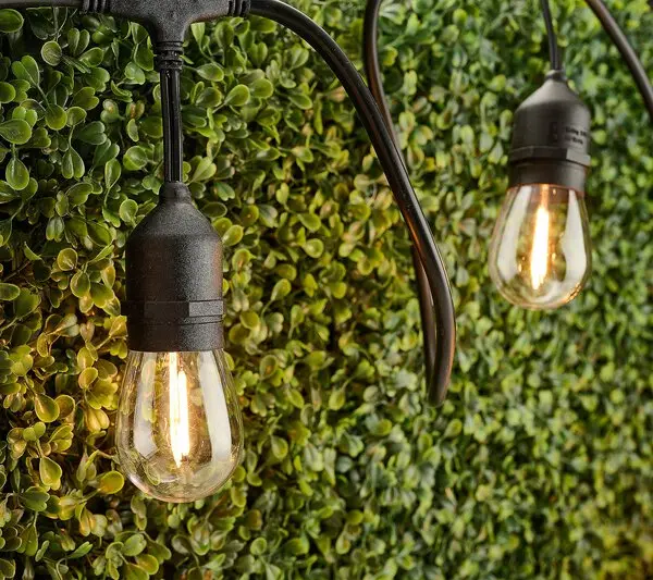 Tommy Bahama 24' Plug-in Edison Bulb String Lights
