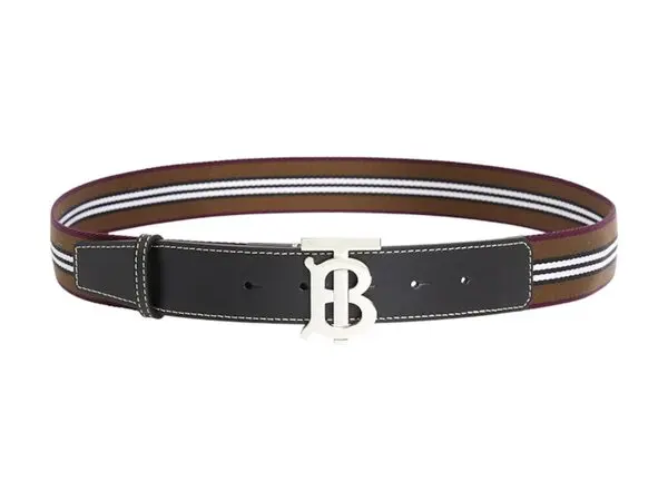 Burberry Icon Stripe Webbing Belt - Dark Birch Brown/silver
