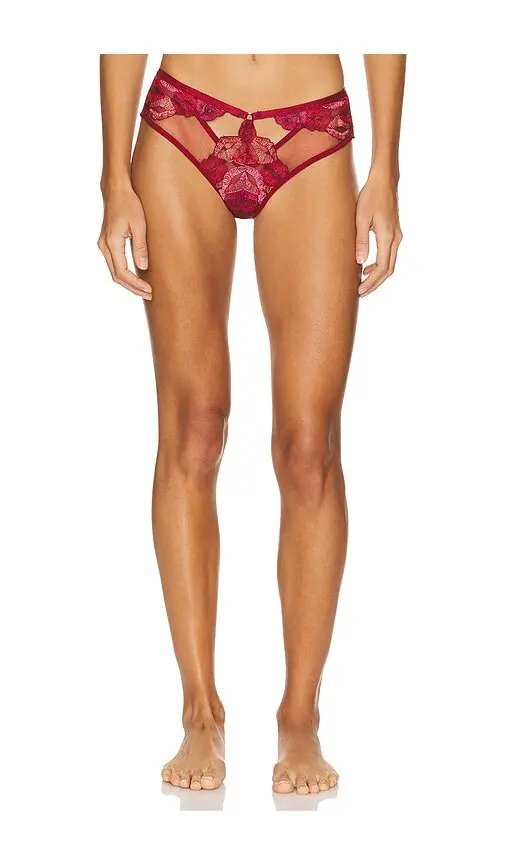 THISTLE AND SPIRE Eye Candy Thong In Burgundy - Ruby