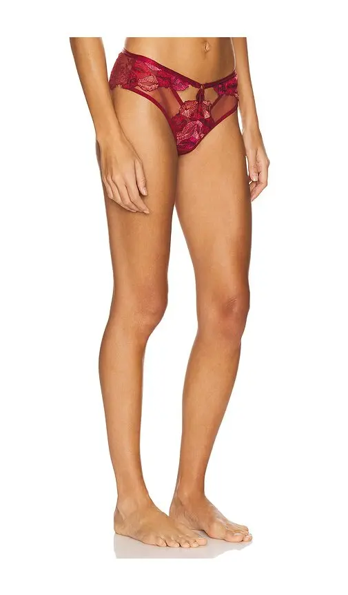 THISTLE AND SPIRE Eye Candy Thong In Burgundy