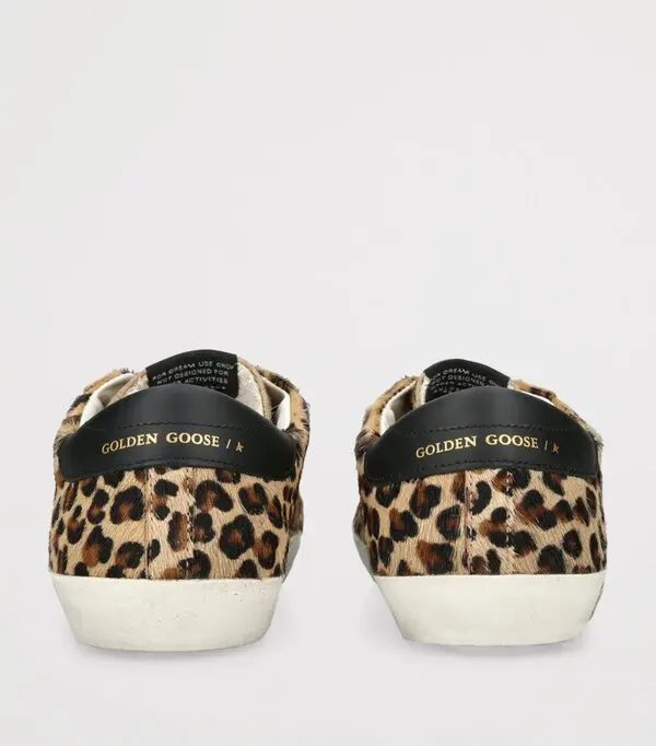 GOLDEN GOOSE Leopard Print Pony Skin Super-star Sneakers