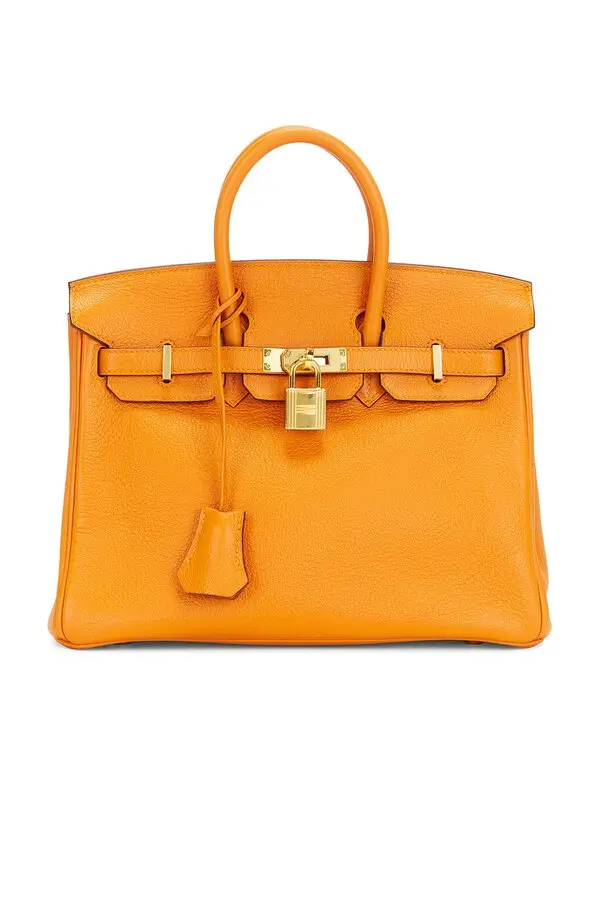 Hermès - Hermes Togo Birkin 25 Handbag