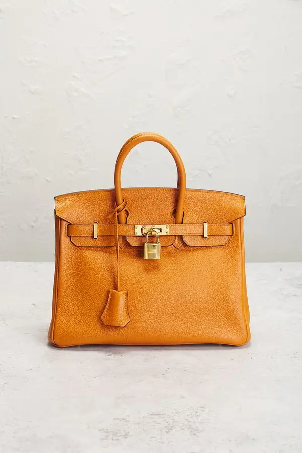 Hermès - Hermes Togo Birkin 25 Handbag