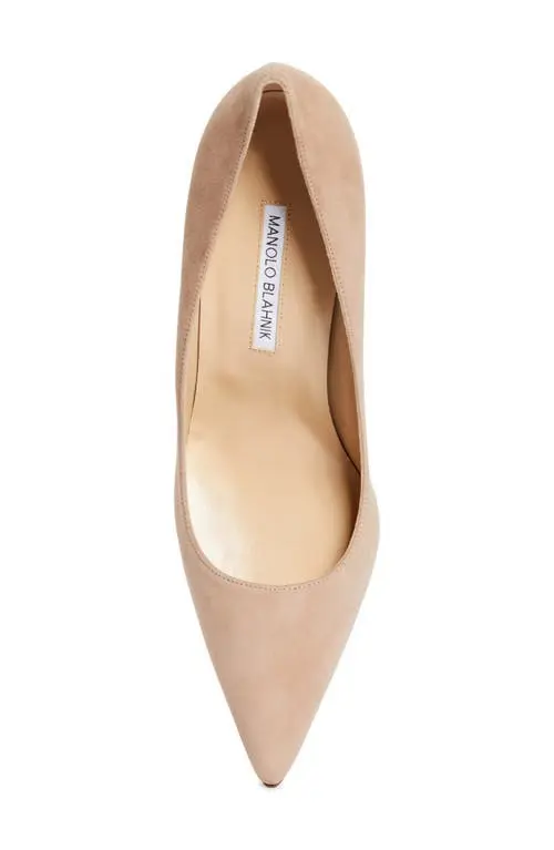 Manolo Blahnik Bb Pointed-toe Pump - Beige
