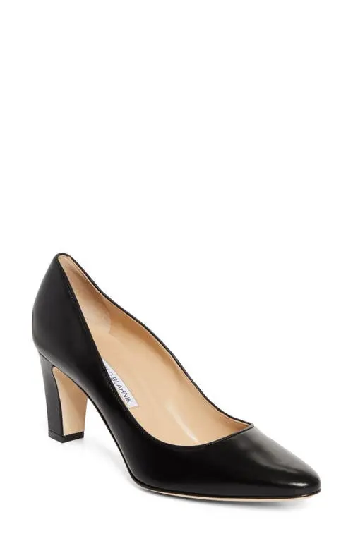 Manolo Blahnik Skiotto Leather Pumps