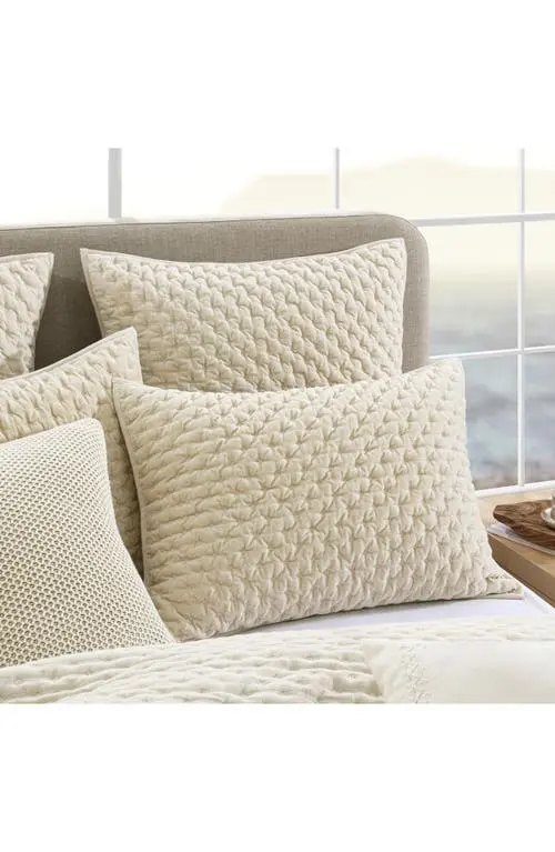 DKNY PURE Velvet Quilt & Shams Set