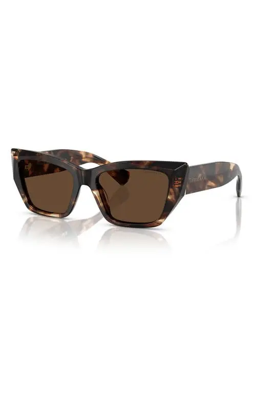 Tiffany & Co. 54mm Cat Eye Sunglasses - Brown