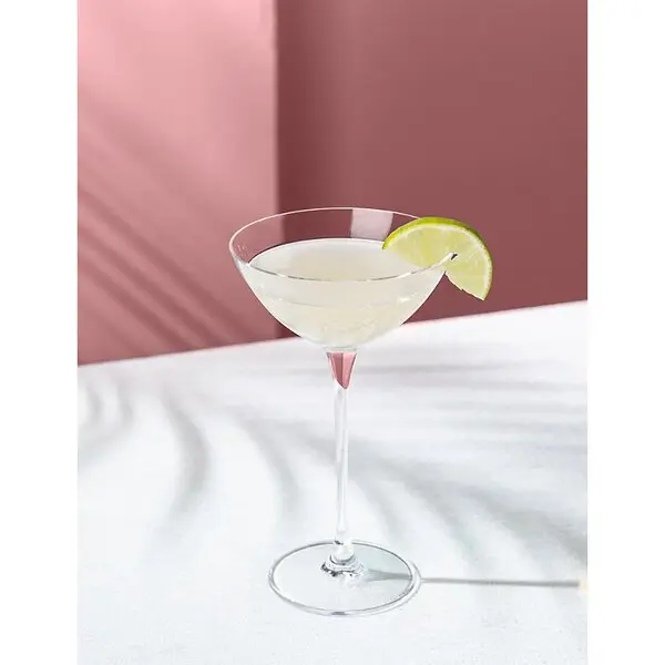 NUDE Savage Crystal Coupetini Glasses Set Of Two