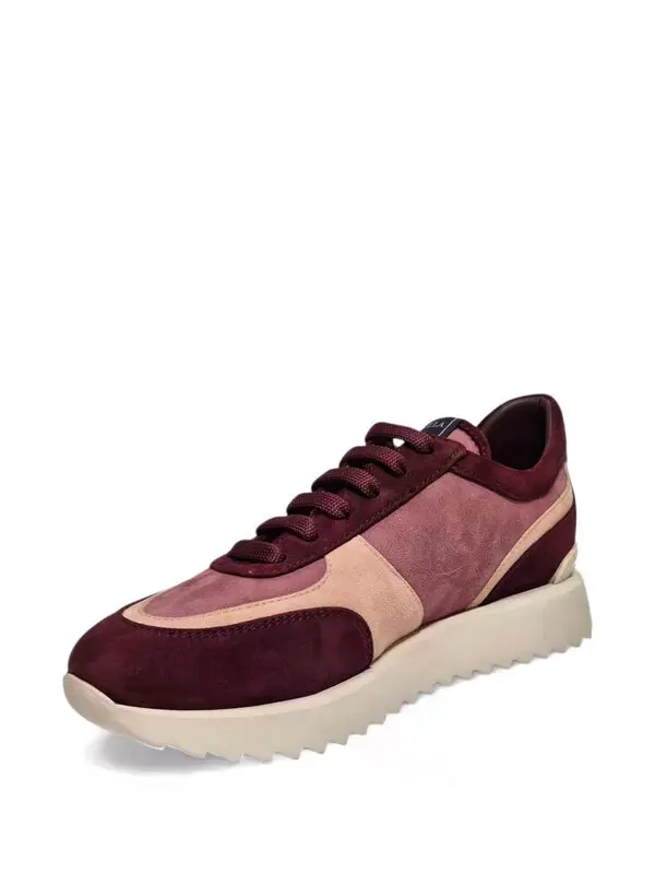 LE SILLA Suede Low-top Sneakers