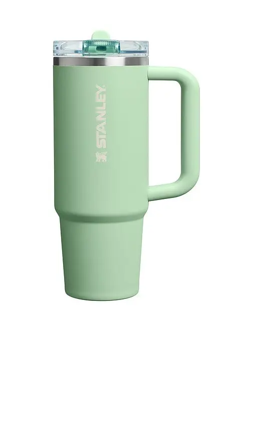STANLEY The Quencher Protour Flip Straw Tumbler 40 Oz In Mint - Pistachio
