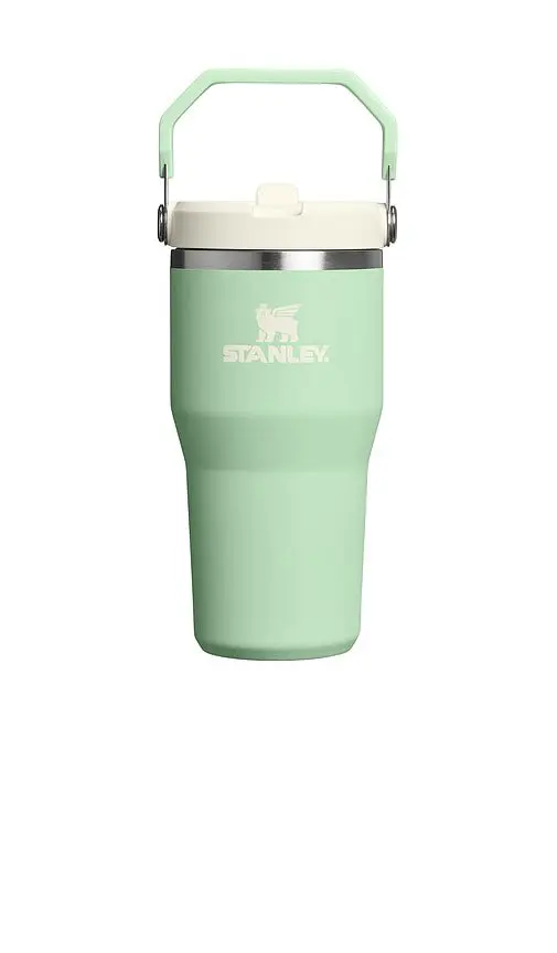 STANLEY The Iceflow Flip Straw 2.0 Tumbler 20 Oz In Mint - Pistachio