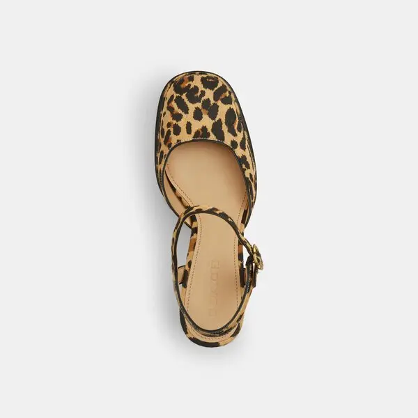 COACH Tea Rose Leopard Print Pumps