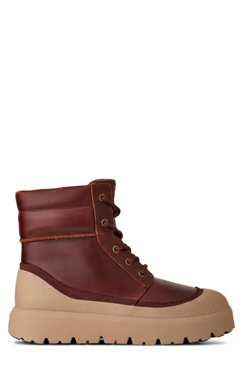 UGG Neumel High Top Hybrid Boots - Cordovan /white Pepper