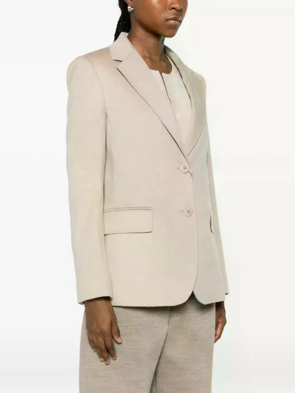 Max Mara Single-breasted Blazer
