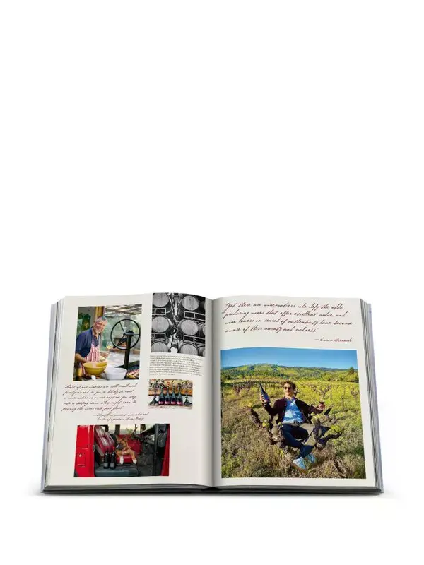 Assouline Wine & Travel United States Of America - Blue
