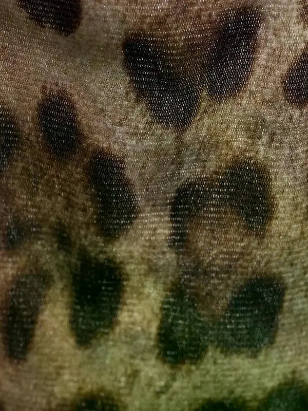 Dolce & Gabbana Leopard Print Tights