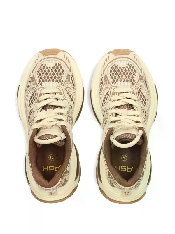 Ash Dragon Chunky Sneakers - Brown