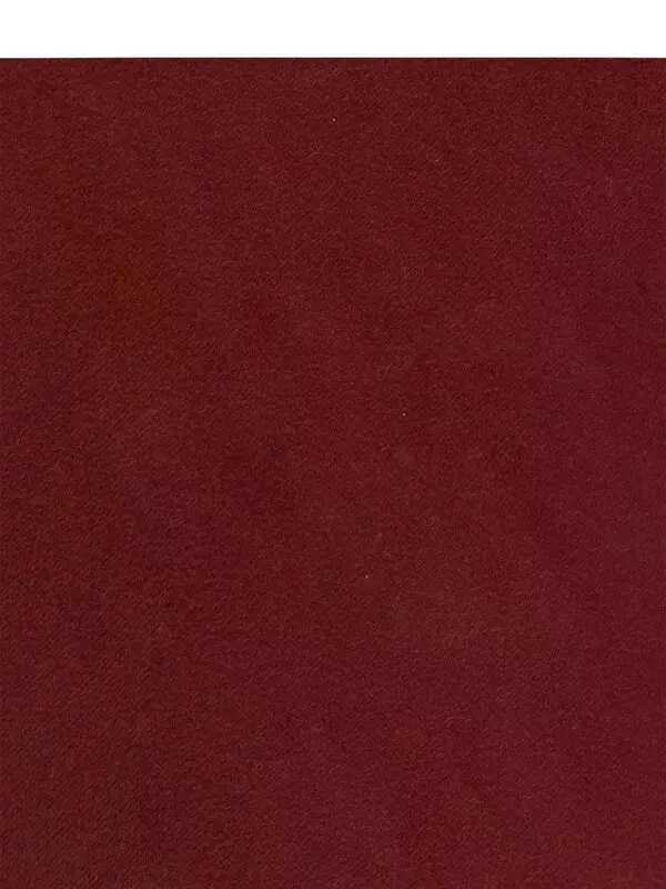 Max Mara Fringed Scarf - Red