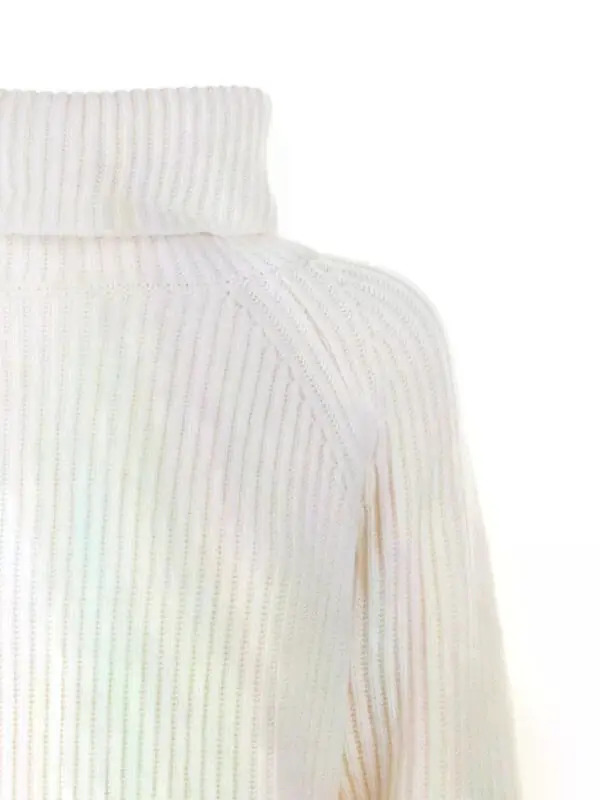 CINQUE Roll-neck Ribbed Sweater