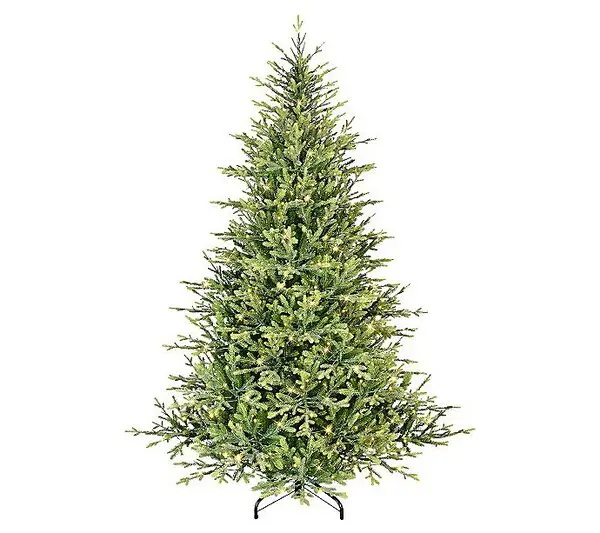 PULEO INTERNATIONAL 7.5' Miracle Shape Alberta Pruce Tree - One-color