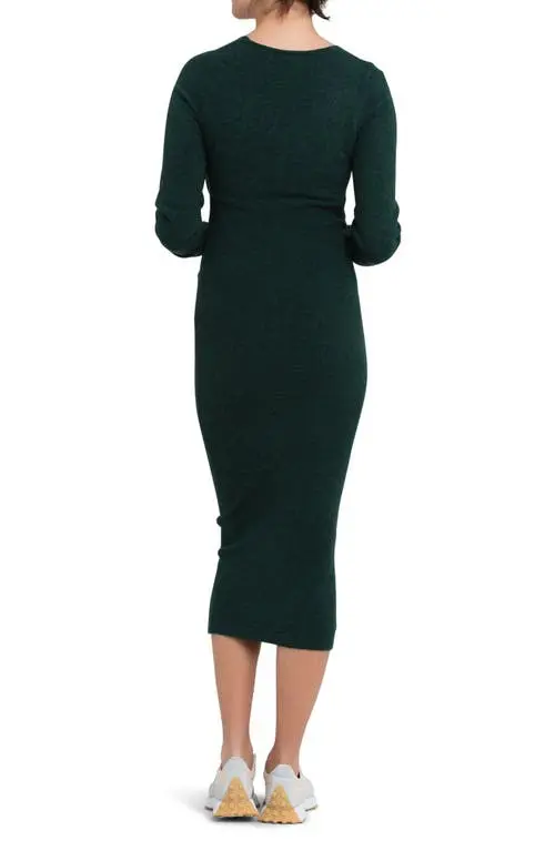 RIPE MATERNITY Heidi Long Sleeve Maternity/nursing Dress - Forest