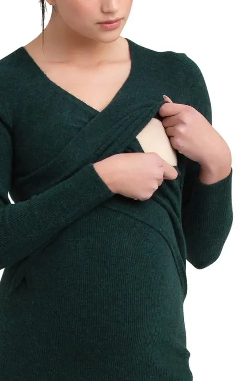 RIPE MATERNITY Heidi Long Sleeve Maternity/nursing Dress - Forest