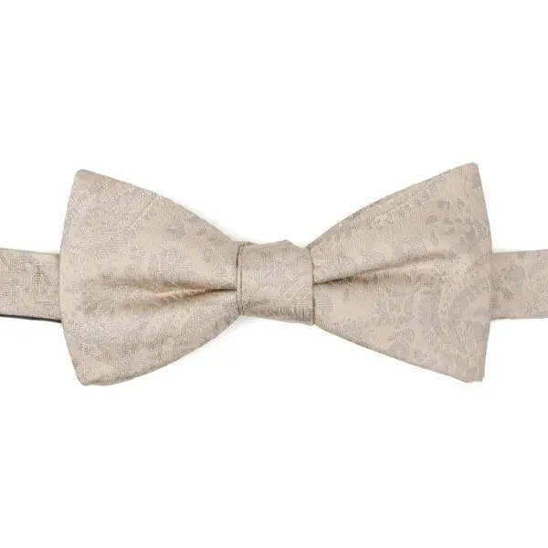 CUFFLINKS, INC. Paisley Silk Bow Tie - Tan