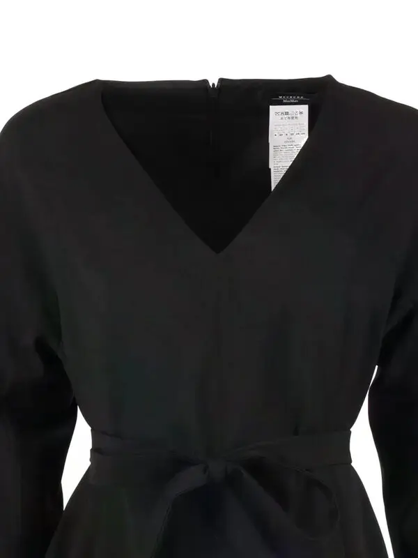 Max Mara Laziale Belted Dress