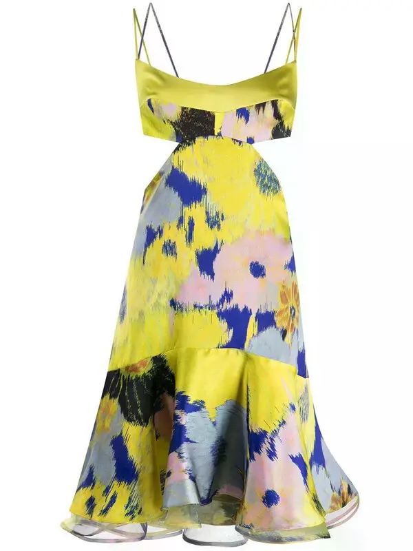 Silvia Tcherassi Analissa Cut-out Detail Dress - Multicolour
