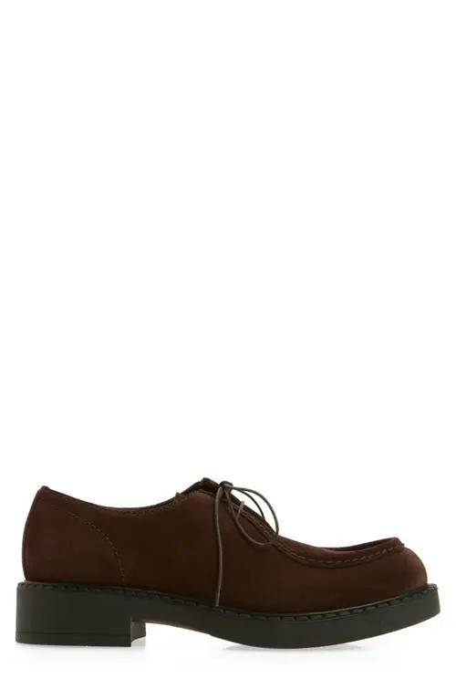 Prada Chocolate Derby
