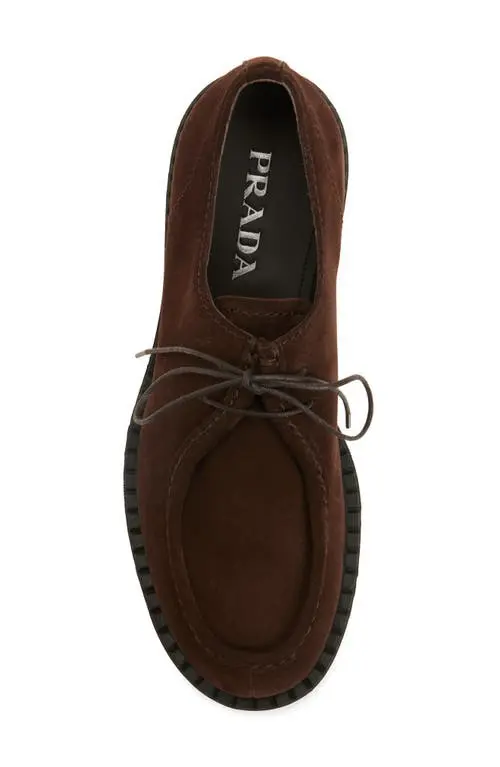 Prada Chocolate Derby