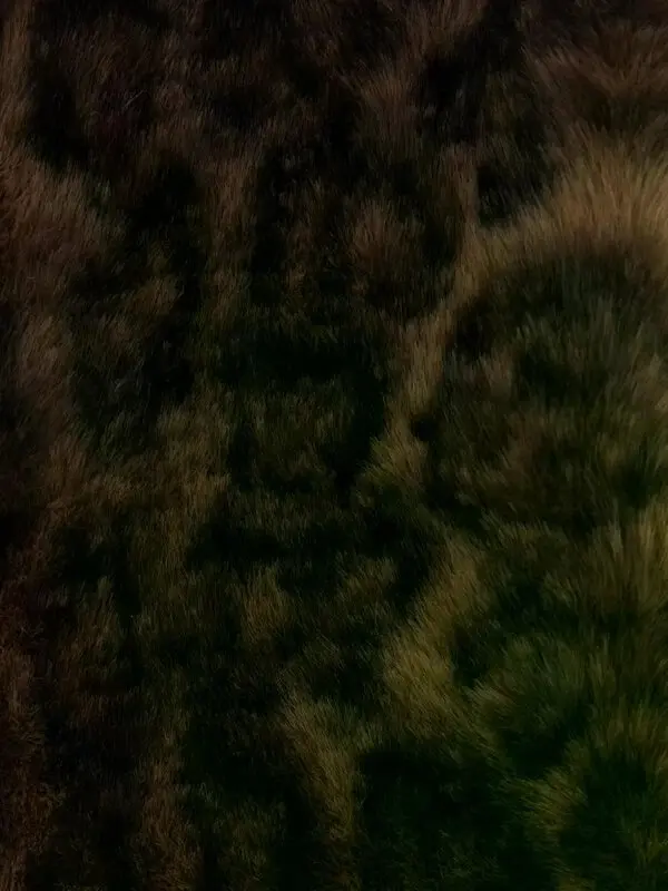 Apparis Kai Leopard-pattern Scarf
