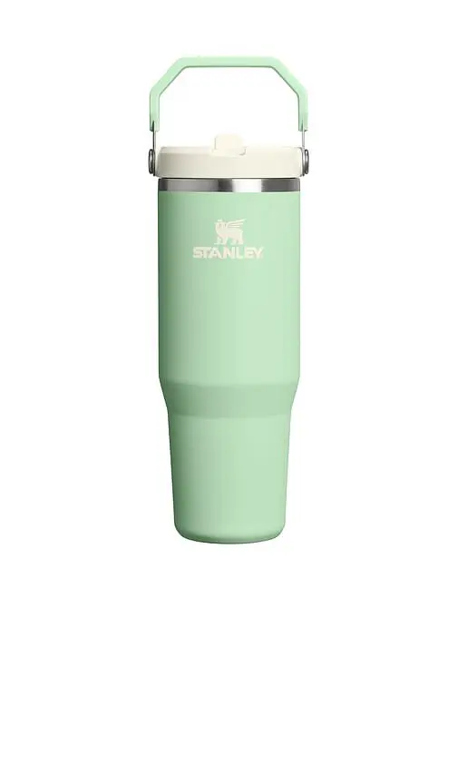 STANLEY The Iceflow Flip Straw 2.0 Tumbler 30 Oz In Mint - Pistachio
