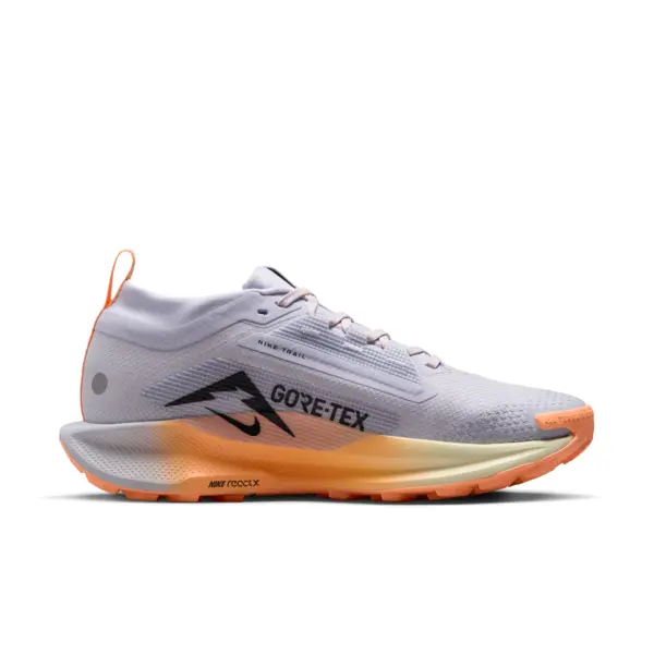 Nike Pegasus Trail Gore-tex Waterproof Trail Running Shoes